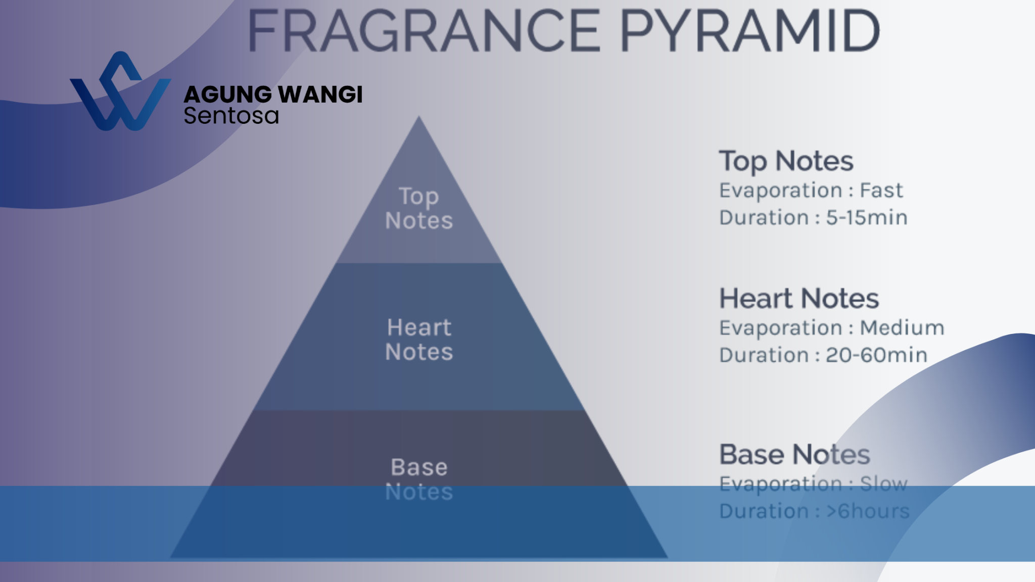 Anatomi Parfum: Memahami Top, Middle, dan Base Notes dalam Wewangian ...